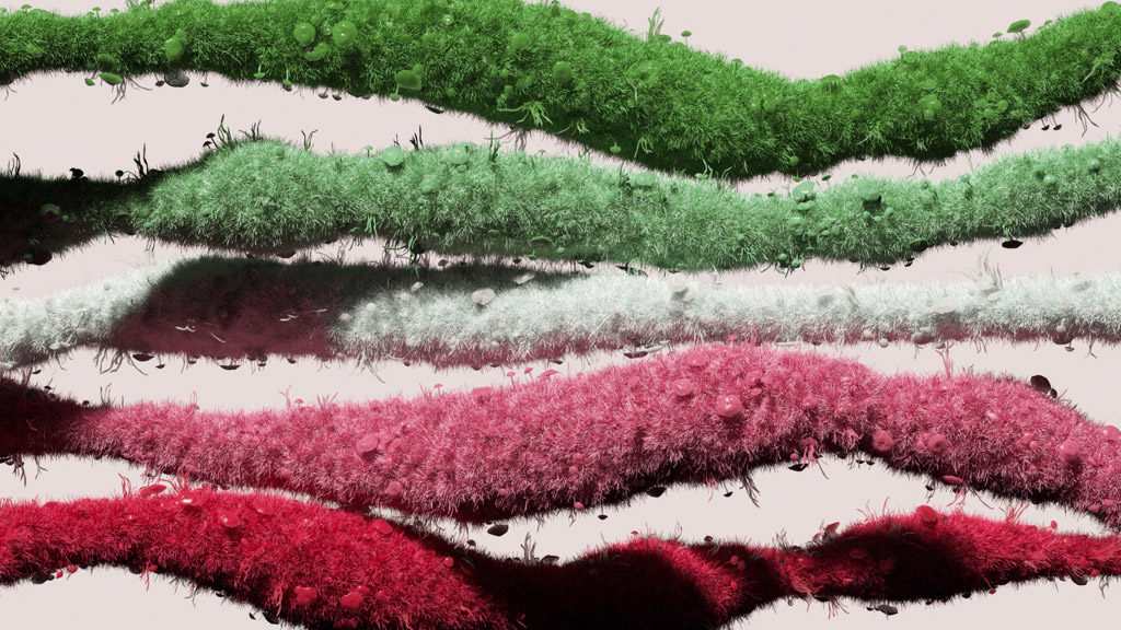 Microsoft Design - Wallpapers